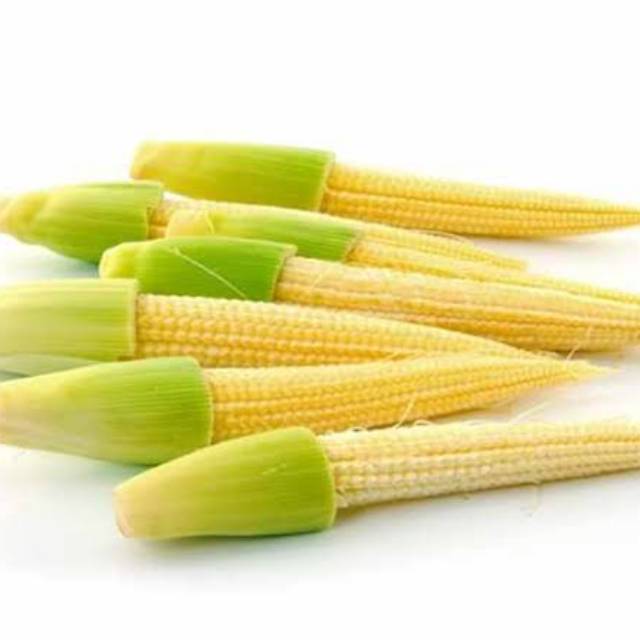 Jual Tokko Jagung Baby (Baby Corn) | Shopee Indonesia