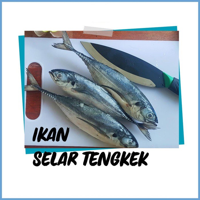 Jual Ikan Selar Tengkek Tetengkek | Shopee Indonesia