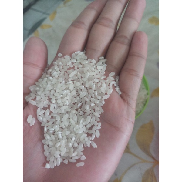 Jual Beras Sukabumi jenis Midun (bulat lonjong) Hasil Panen Sendiri ...