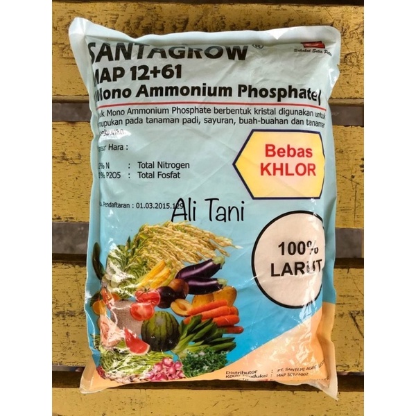 Jual Pupuk MAP/Mono Ammonium Phosphate SANTAGROW Kemasan 1 KG | Shopee ...