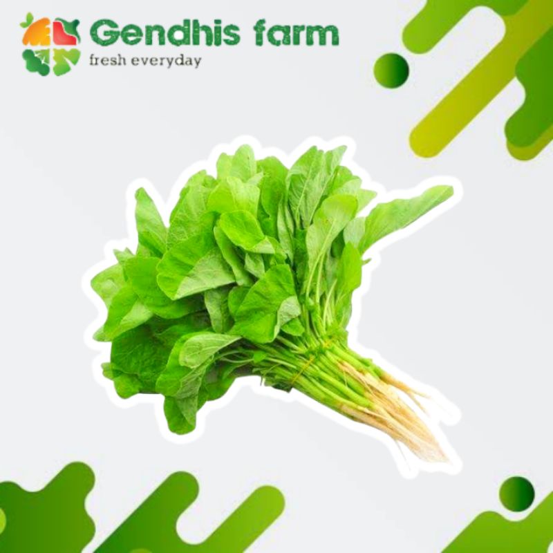 Jual Bayam Hijau [1 ikat] | Shopee Indonesia