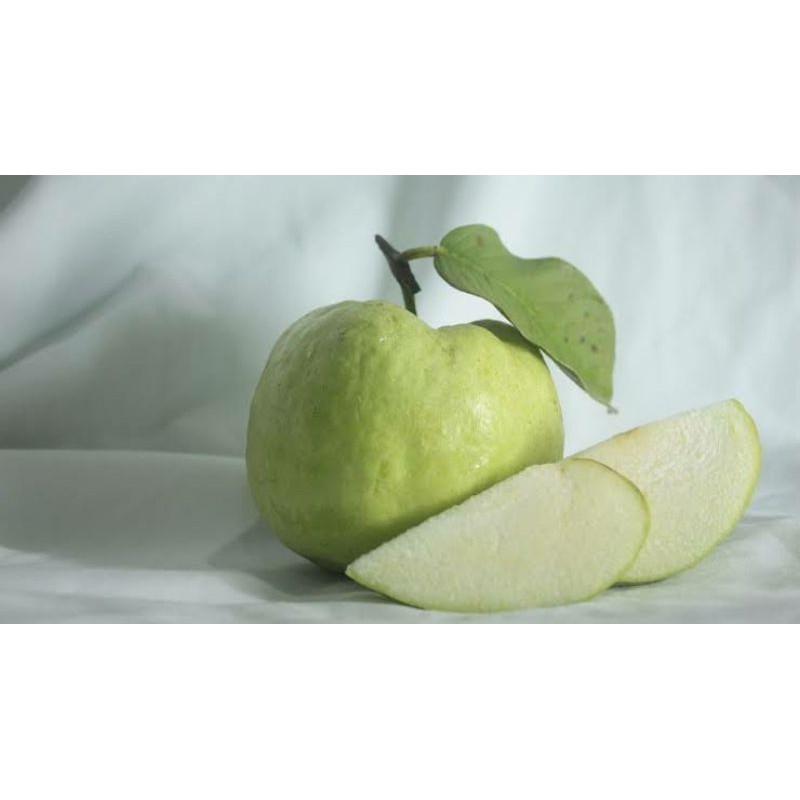 Jual Jambu crystal/Jambu non biji 1kg | Shopee Indonesia