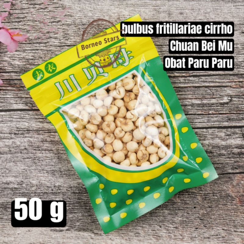 Jual bulbus fritillariae cirrho / Chuan Bei Mu 50g | Shopee Indonesia