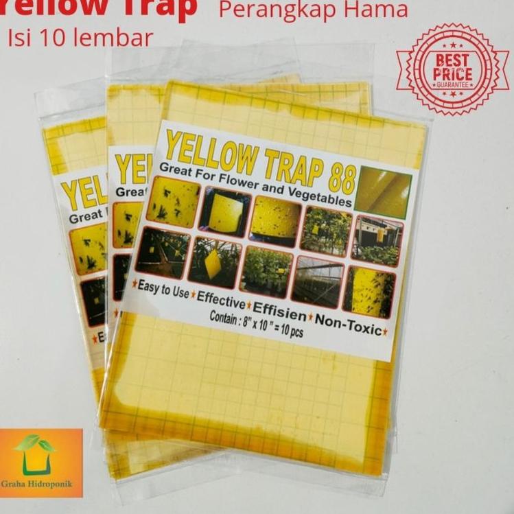 Jual HTUU Yellow Trap / Perangkap Kuning Hama Tanaman / Kertas Kuning ...