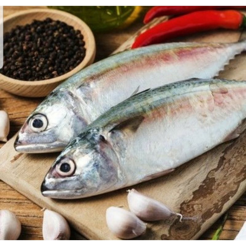 Jual Ikan Kembung Segar / Fresh 1 kg | Shopee Indonesia