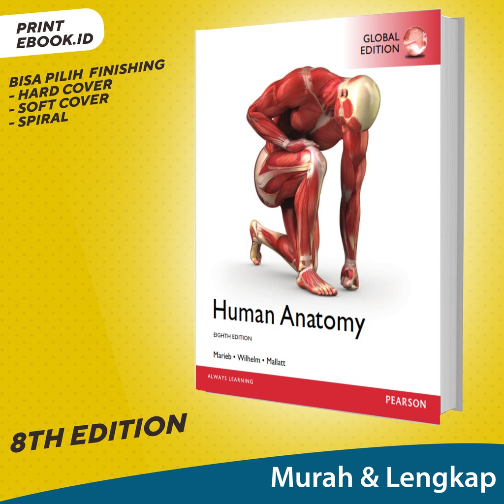 Jual Human Anatomy Pearson | Shopee Indonesia