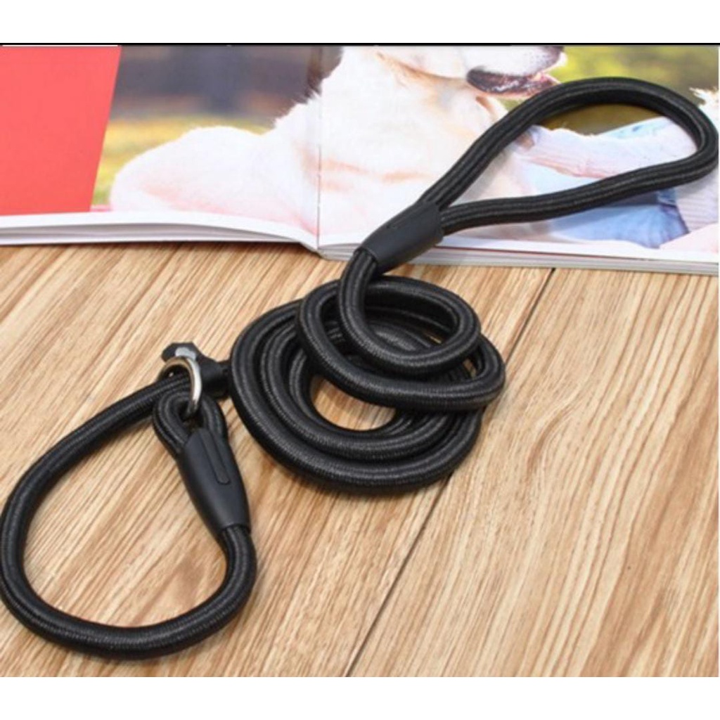 Jual dog leash/tali tuntun anjing/tali anjing size S (hitam) | Shopee ...