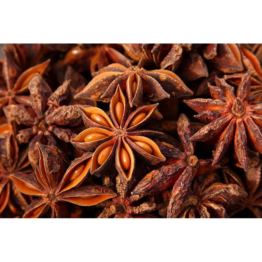 Jual Premium Star Anise 100 Gram | Bunga Lawang Premium | Bunga Pekak ...