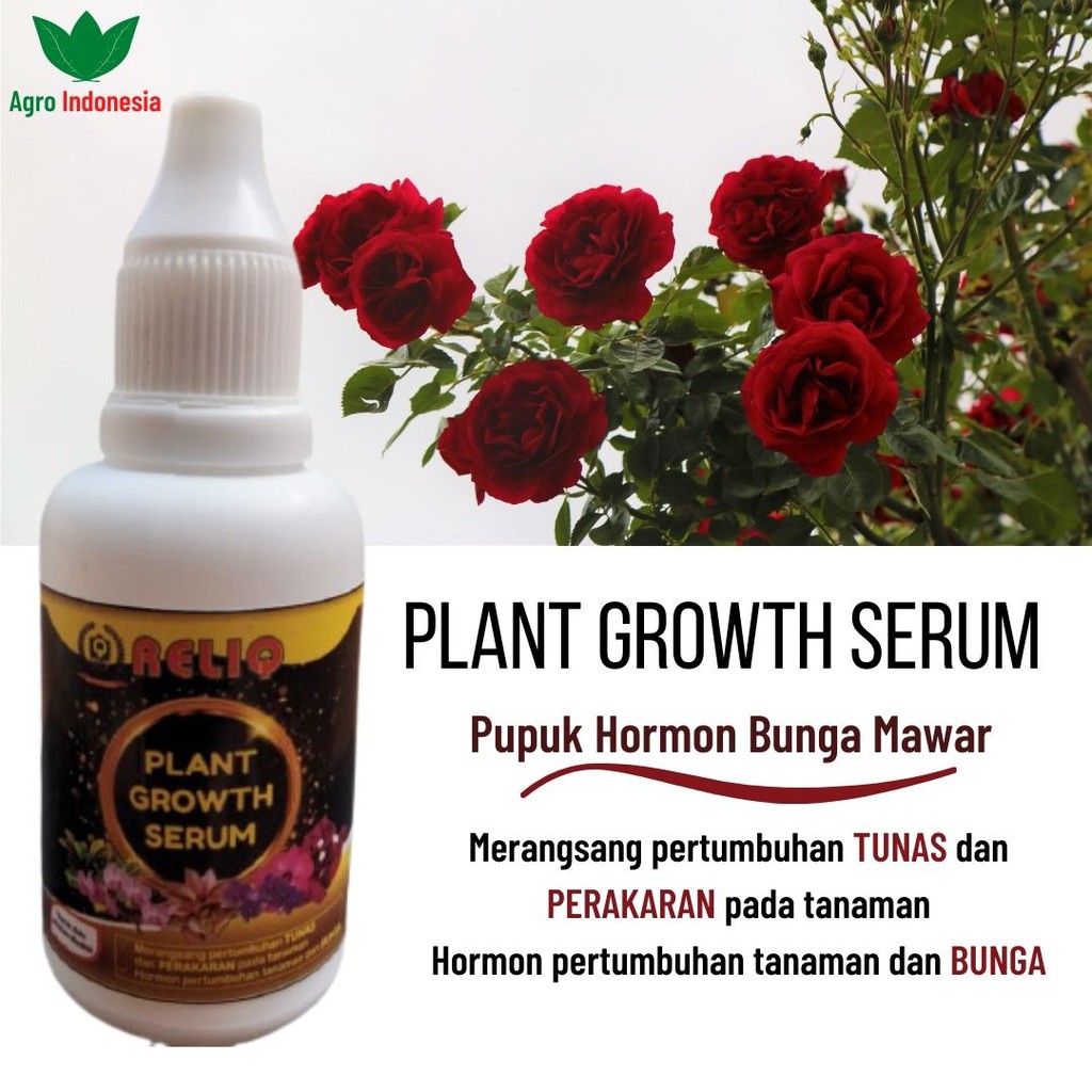 Jual PUPUK Hormon bunga mawar, Nutrisi Tanaman Hias Mawar | Shopee ...