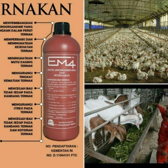 Jual EM4 EM 4 Peternakan Ternak 1 Liter Obat Probiotik Sapi Kambing ...