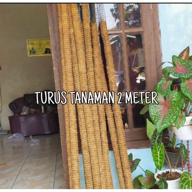 Jual Turus Tanaman Penyangga panjang 2 meter / tiang penyangga tanaman ...
