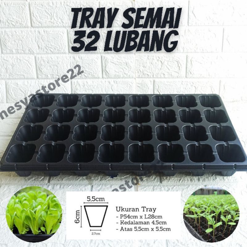 Jual Tray Trai Semai Pot Tray 4 32 50 72 98 105 128 162 200 288 Lubang ...