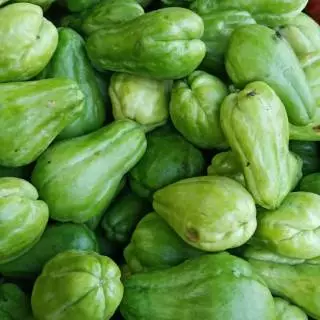 Jual Labu Siam Terlengkap & Harga Terbaru Juli 2024 | Shopee Indonesia