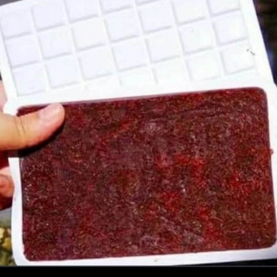Jual Cacing Darah Beku Tray 100 gr Cabek Frozen Bloodworm Pakan Ikan ...
