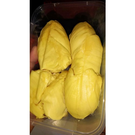Jual Durian Montong Palu Box Super / Duren Kupas Sulawesi / FRESH MONTHONG / BARU KUPAS | Shopee ...