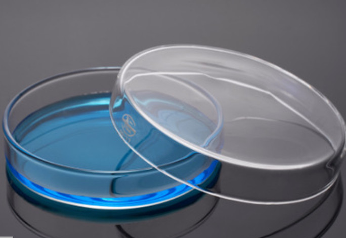 Jual Cawan petri kaca, Petri dish glass 180mm | Shopee Indonesia