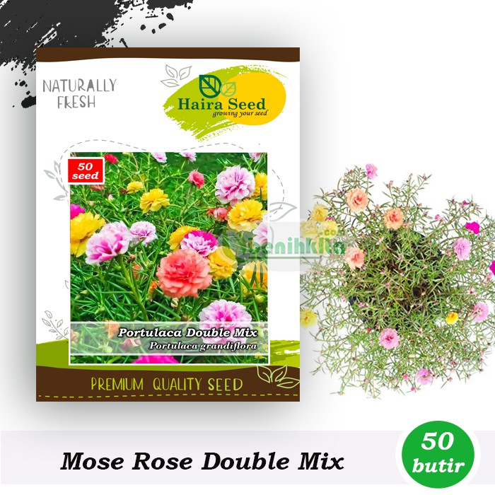 Jual Benih-Bibit Bunga Moss Rose Double Mix (Haira Seed) | Shopee Indonesia