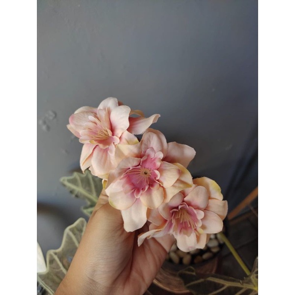 Jual Paket Hairdo Sakura 03 (sasak bulat) | Shopee Indonesia