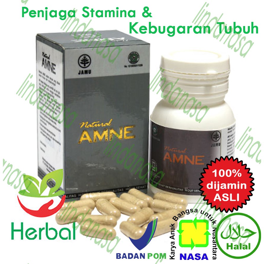 Jual Amne Nasa 100% Asli - Obat Herbal Penambah Berat Badan | Shopee ...