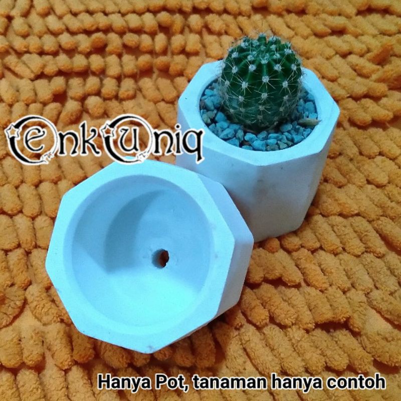 Jual Pot Mini Pot Kaktus Dan Sekulen Pot Ukuran 5cm | Shopee Indonesia