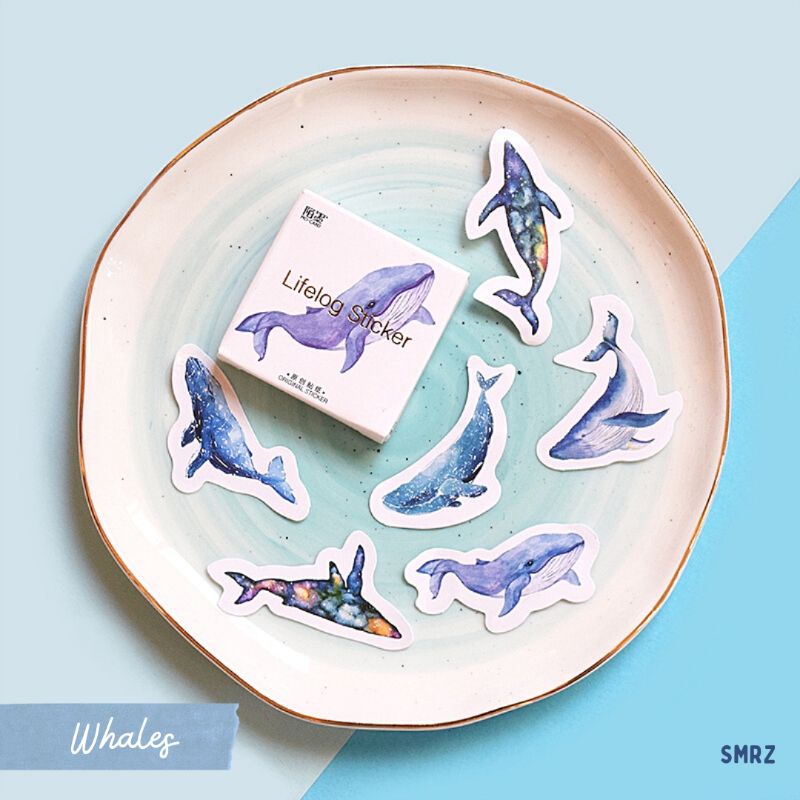 Jual Whales Sticker Piece - Stiker Ecer Ikan Paus / Oceans / Blue ...