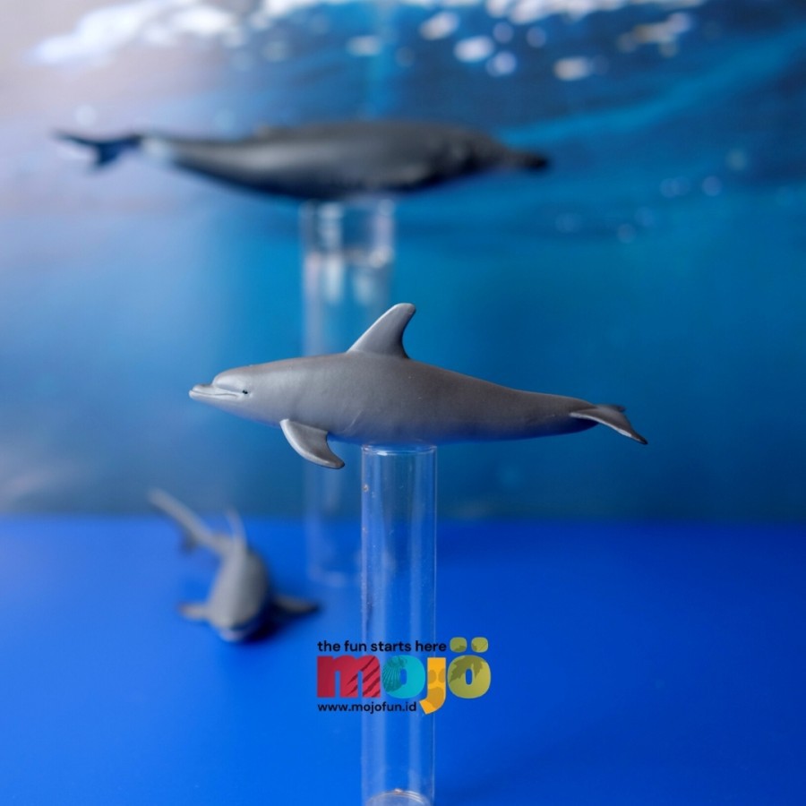 Jual Mojo Fun Bottle Nose Dolphin / Lumba-Lumba - Sealife Collection ...