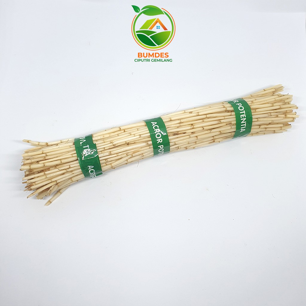 Jual akar alang alang segar 1kg | Shopee Indonesia