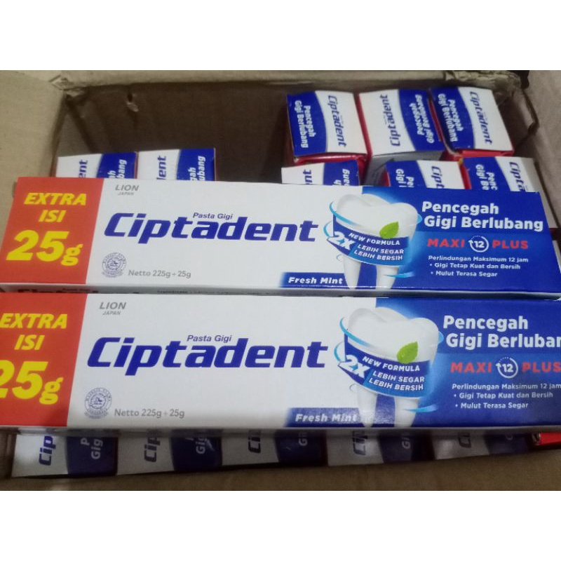 Jual Ciptadent fresh mint netto 225g+25g | Shopee Indonesia
