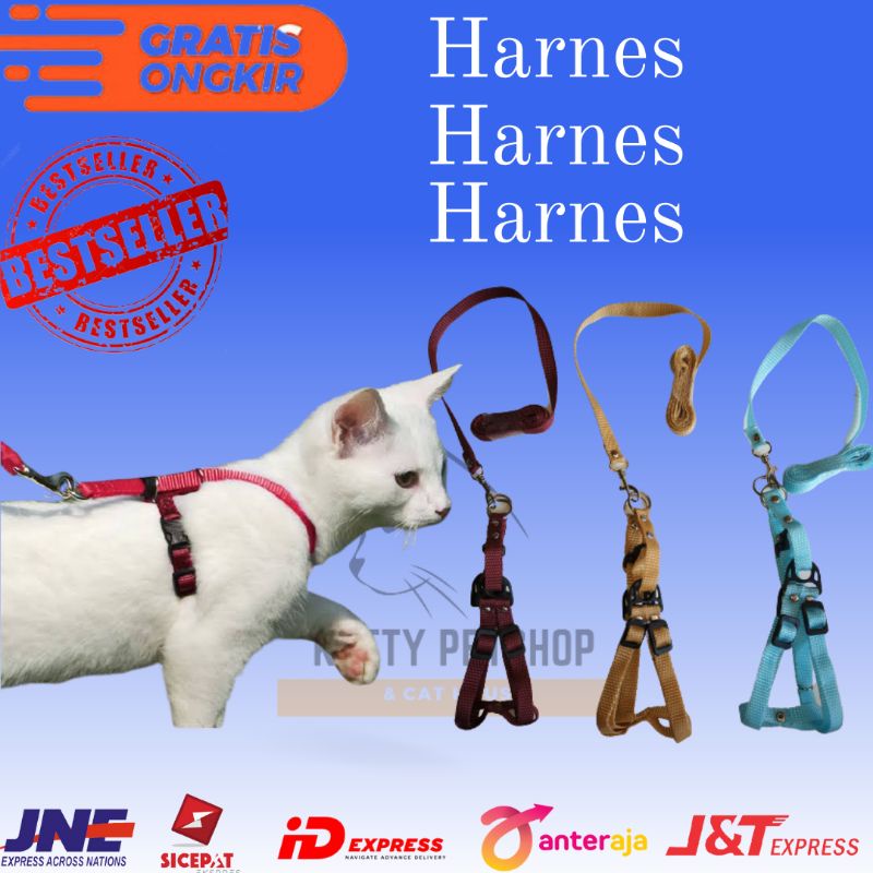 Jual HARNESS KUCING Y / HARNES KUCING / TALI TUNTUN HEWAN KUCING MUSANG ...