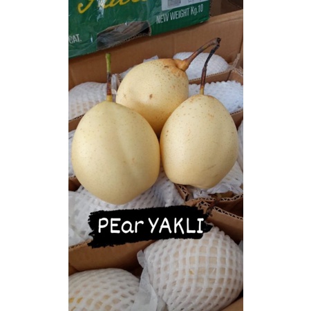 Jual Buah Pear Yalie | Buah Pir Yakli | Buah Pir | Pir Sehat | Shopee ...