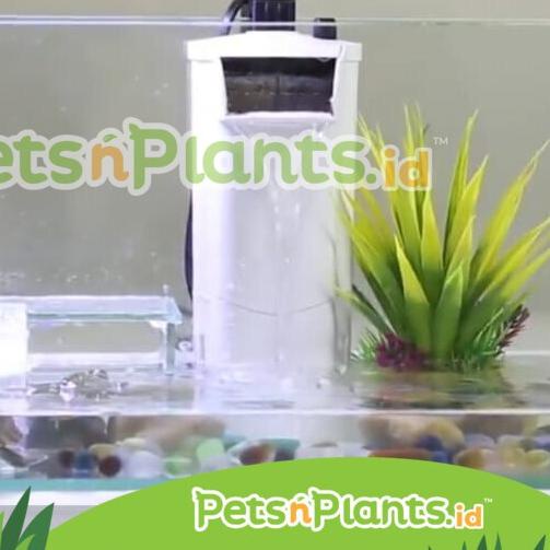 Jual Filter Air Dangkal Akuarium Kura Kura - Turtle Fountain Low Water Pump | Shopee Indonesia