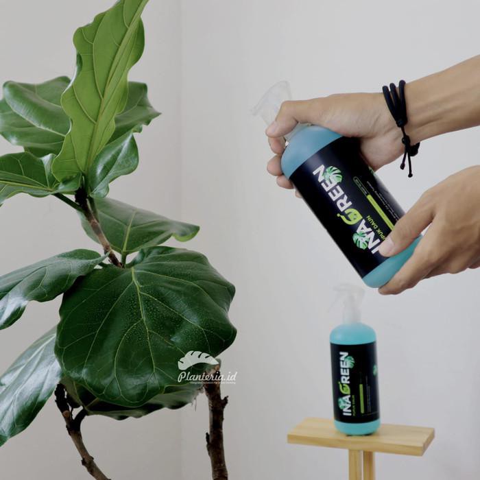 Jual PUPUK DAUN SEMPROT READY TO USE DENGAN HORMON DAN NUTRISI ...