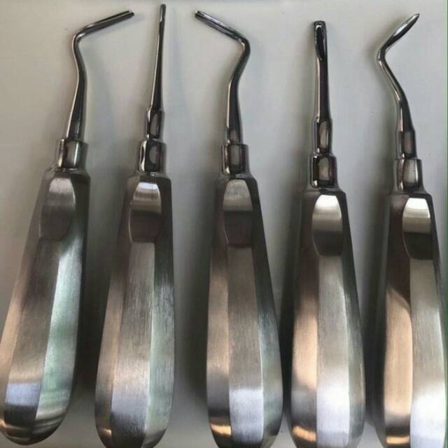 Jual Alice dental bein set dewasa isi 10 root elevator luxator cryer ...
