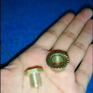 Jual Wall-Nut Harga Terbaik & Termurah Desember 2025 | Shopee Indonesia