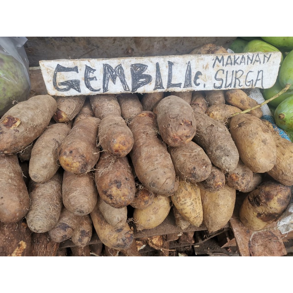 Jual Gembili 1 Kg Fresh | Shopee Indonesia