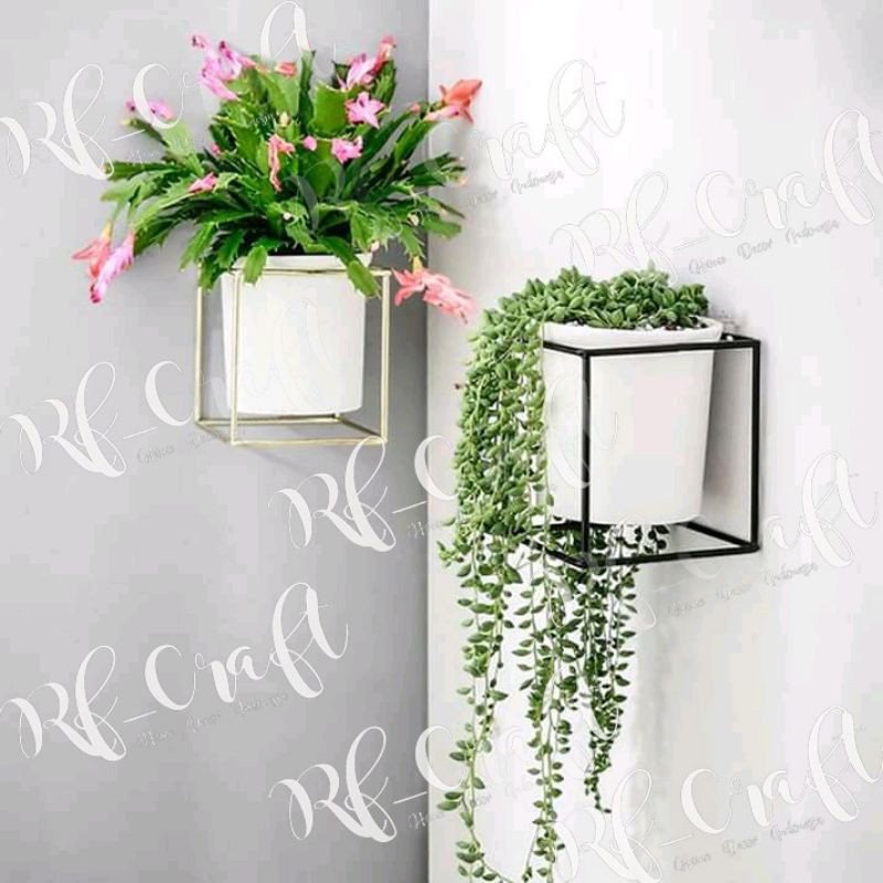 Jual TEMPAT POT DINDING KOTAK STANDING | Shopee Indonesia