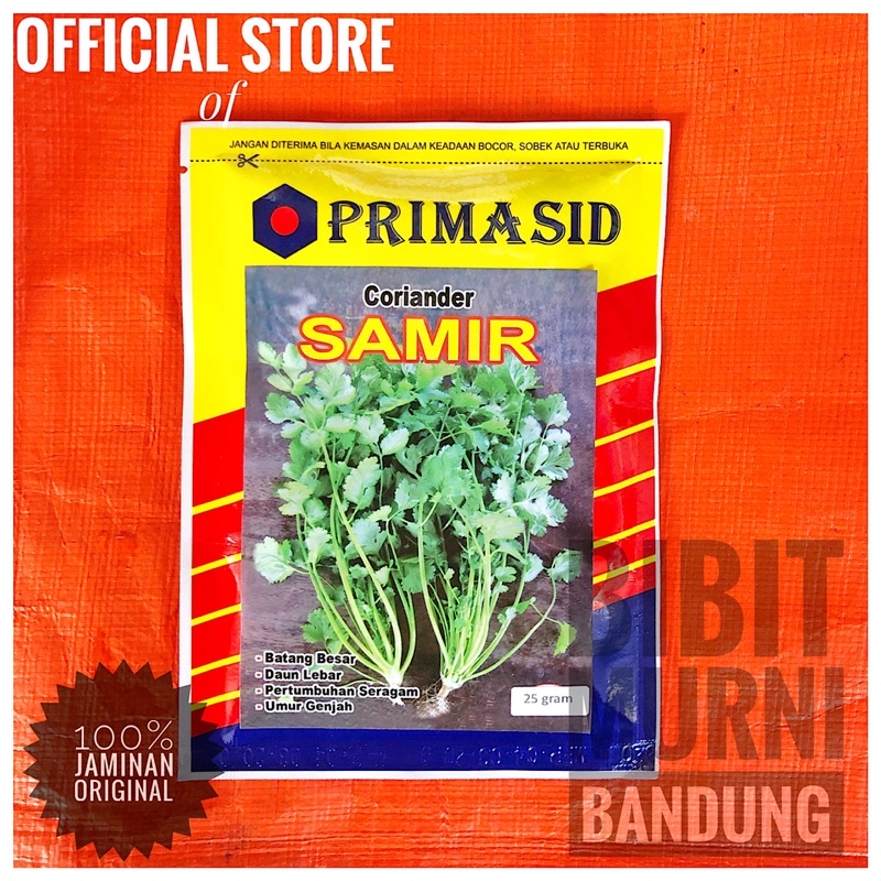 Jual BENIH BIBIT KETUMBAR CORIANDER YANSUI SAMIR 25 GRAM ORIGINAL PACK ...