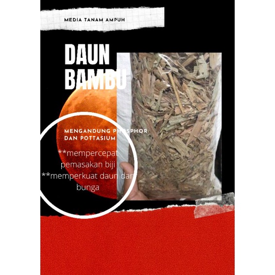 Jual daun bambu kering | Shopee Indonesia