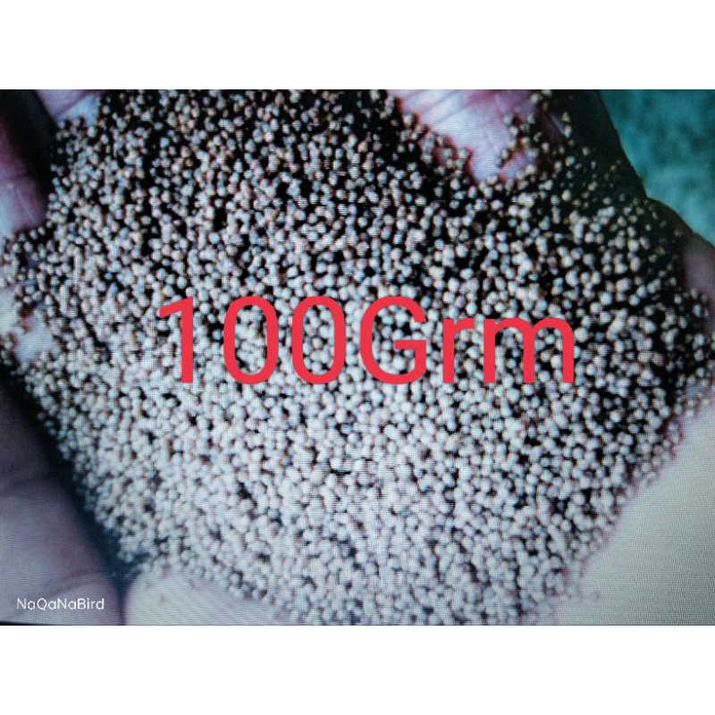 Jual Pelet Ikan Kecil\Pakan Ikan Hias \pf500\pakan Cupang Molly Guppy ...