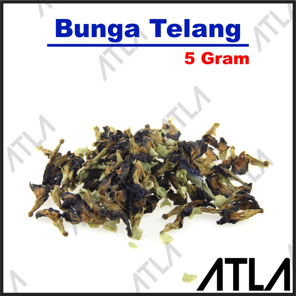 Jual Bunga Telang Kering 5 gr Teh Herbal Organik Butterfly Pea flowers ...