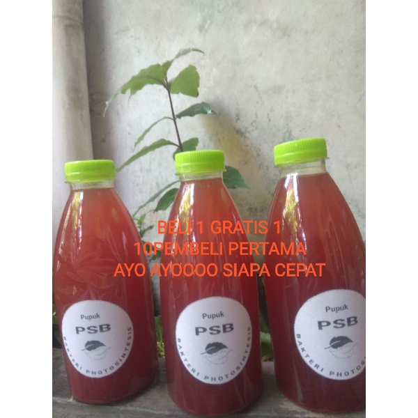 Jual PupukOrganik/PSB-BakteriPhotosintesis(Booster)/350ml | Shopee ...