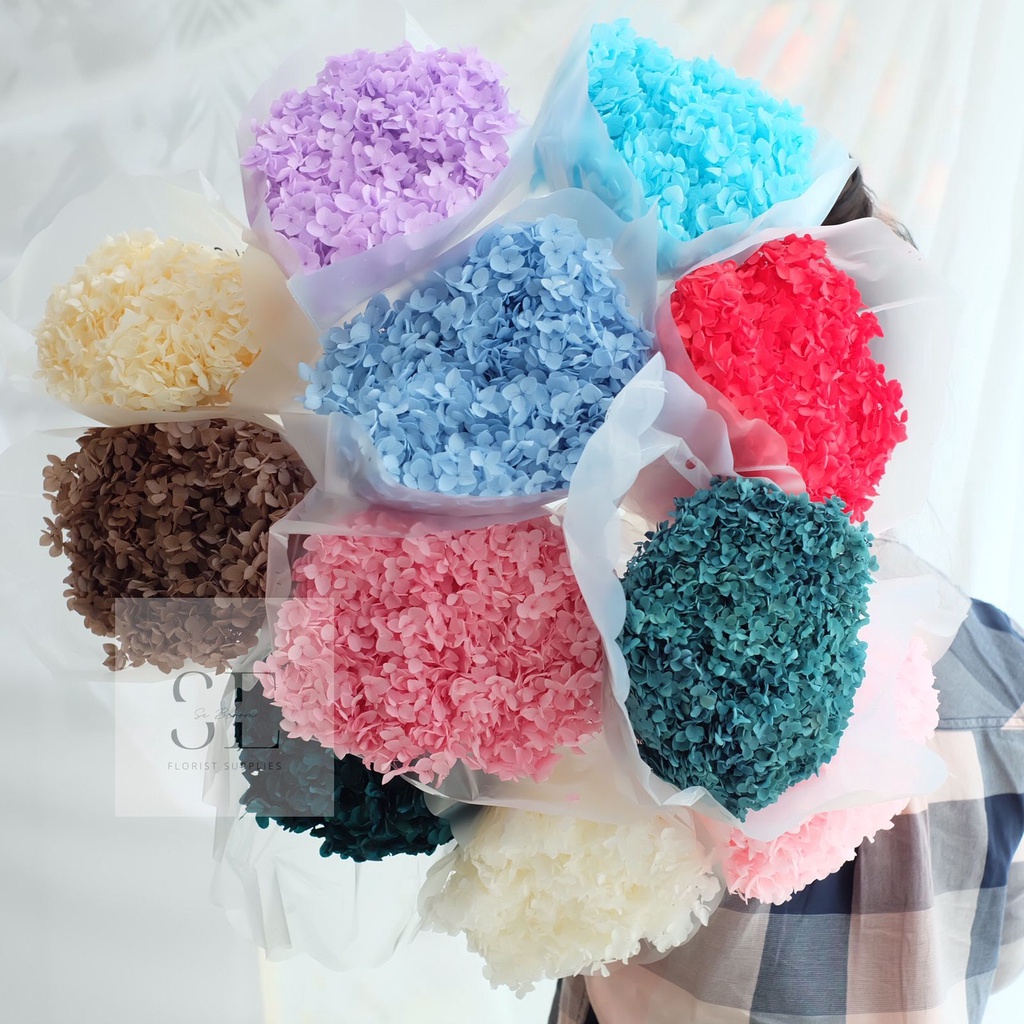 Jual [1 BUNCH] Anna hydrangea with stem preserved flower / dried flower ...