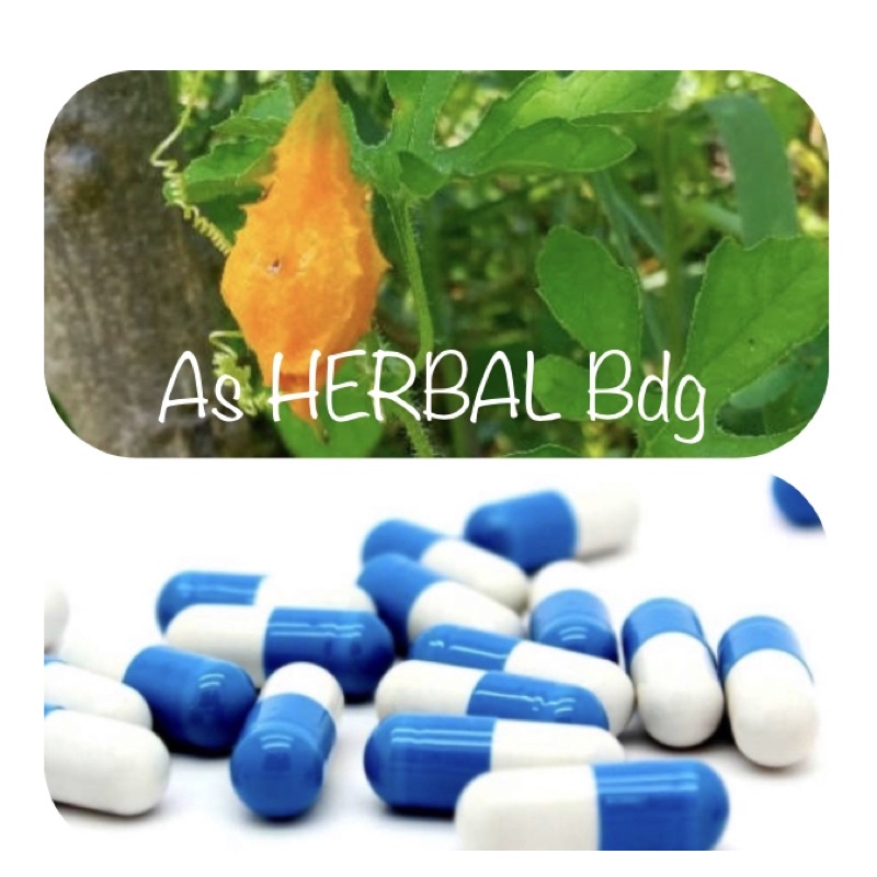 Jual Kapsul daun pare hutan / kapsul daun paria hutan isi 50 pcs ...