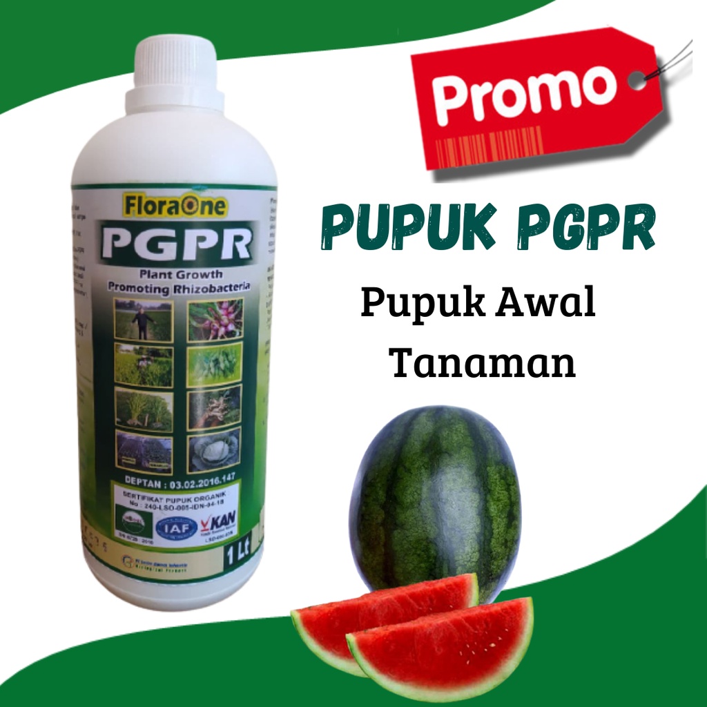 Jual Pupuk Dasar Khusus Semangka, PGPR Plant Growth Promooting ...