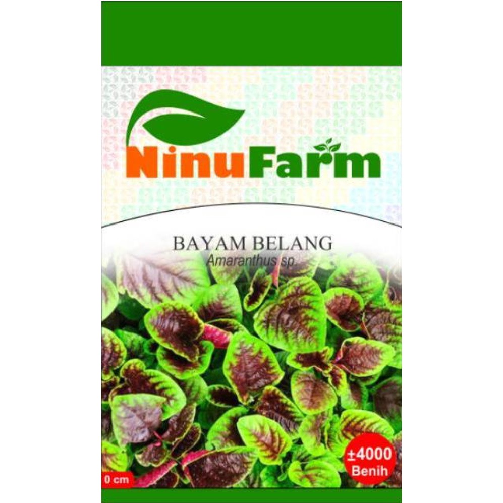 Jual Benih Bibit Daun Sayur Bayam Batik/Bayam Belang Ninufarm (4000 ...
