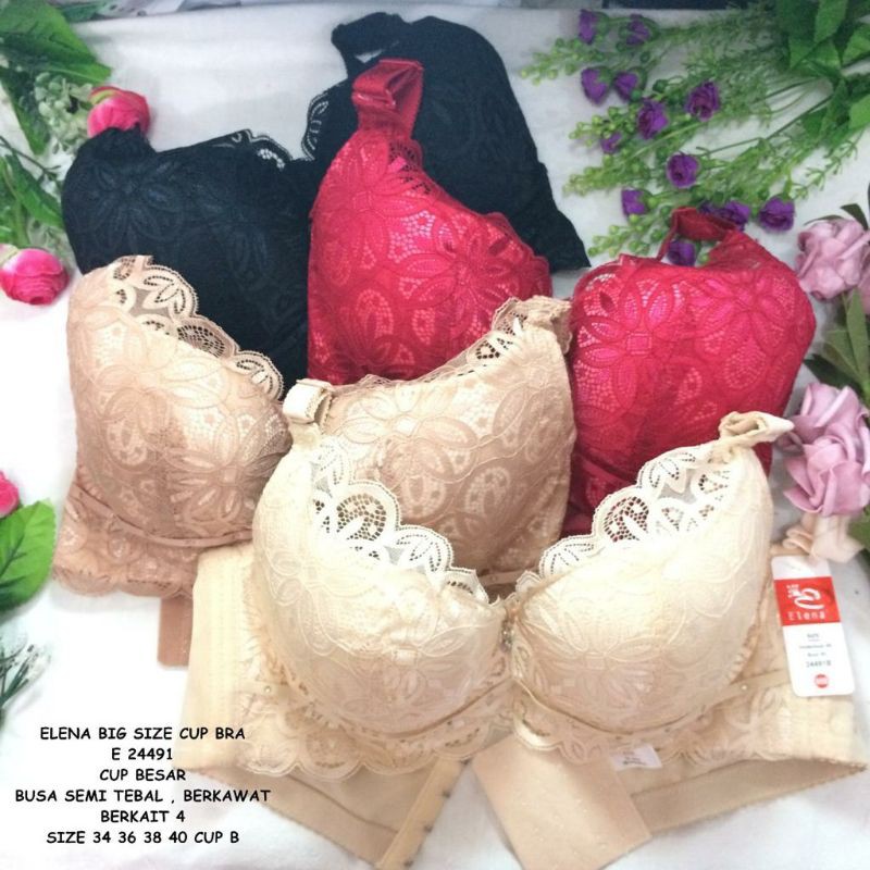 Jual Bh Elena 24491 B Sayap Lebar | Bra Sayap Lebar Busa Tipis Pakai ...