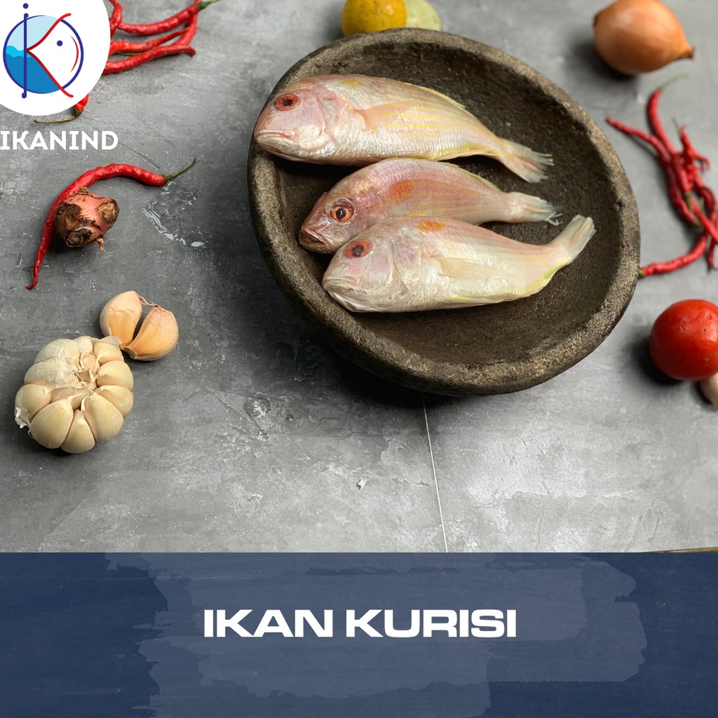 Jual Ikan kurisi / Ikan kurisi beku / Ikan segar Kiloan / Pack 1 kg ...
