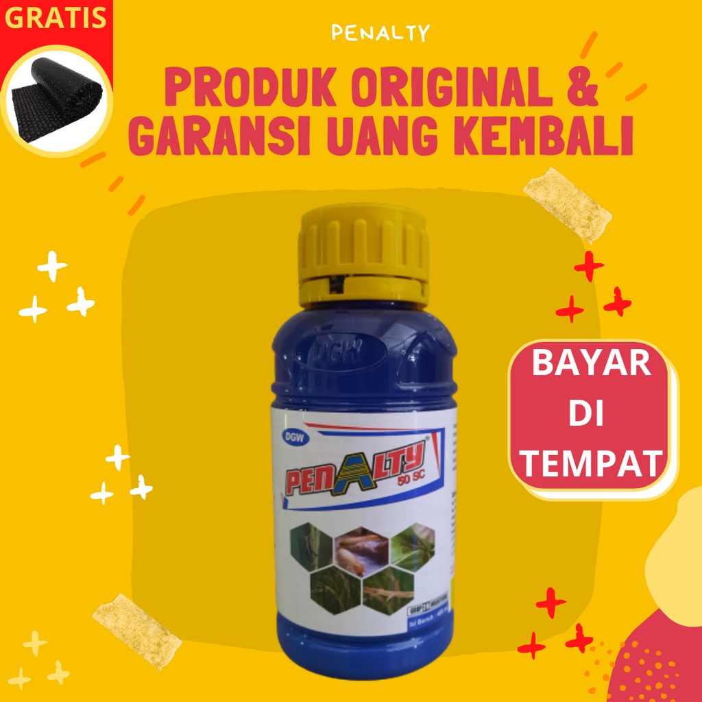Jual Insektisida Pembasmi Hama Ulat Sundep Grayak Daun Kutu Padi Jagung ...