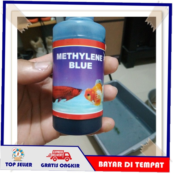 Jual Methylene Methyline Blue Obat Penyakit Ikan Sakit White Spot Biotik PK Biru Anti Jamur Ikan ...