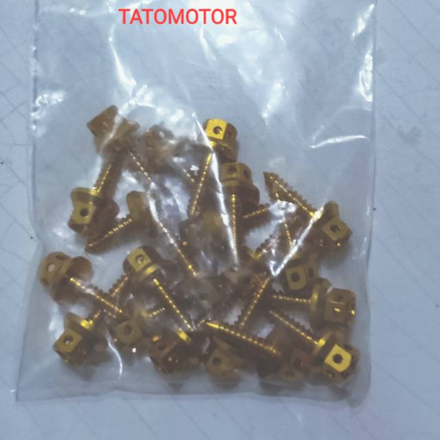 Jual Baut sekrup probolt baut body motor matic beat scoopy | Shopee ...